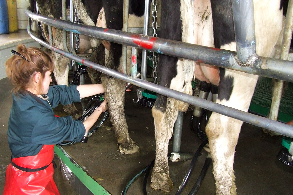 New Zealand Certificate in Primary Industry Skills (Agriculture) (Level ...